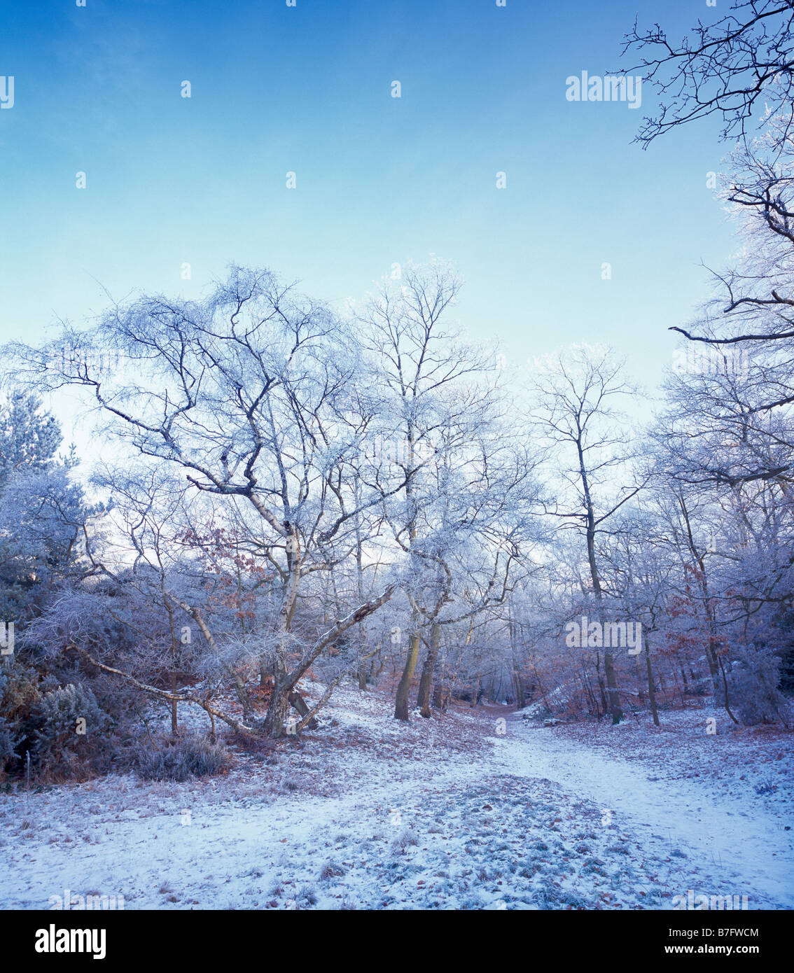 Bromley Common And Keston High Resolution Stock Photography and Images ...