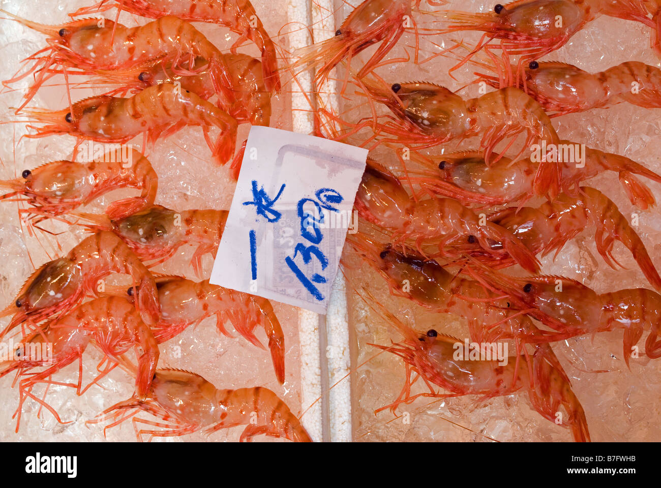 Prawns for sale in the Tokyo Fish Market Stock Photo - Alamy