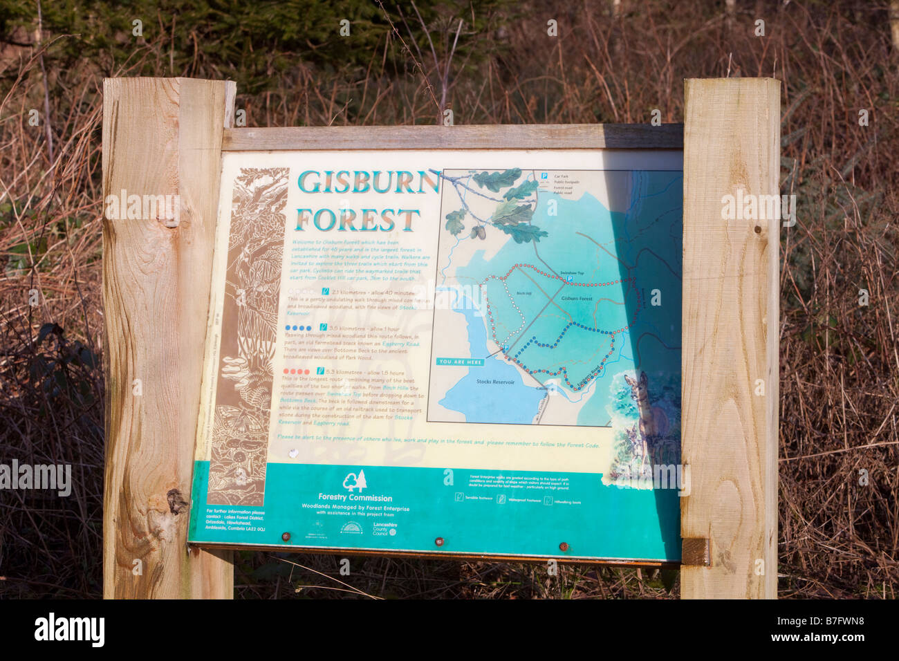 A sign in Gisburn Forest in the Forest of Bowland Lancashire UK Stock ...