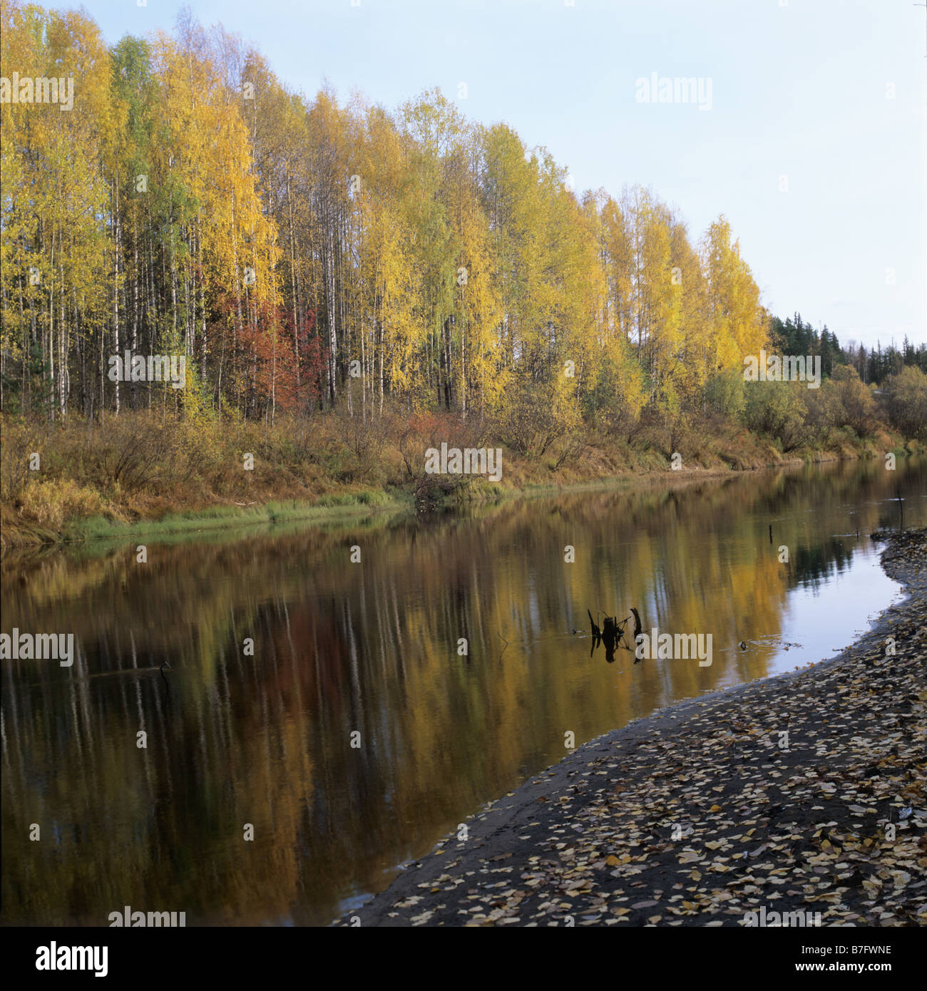 Russia komi hi-res stock photography and images - Alamy