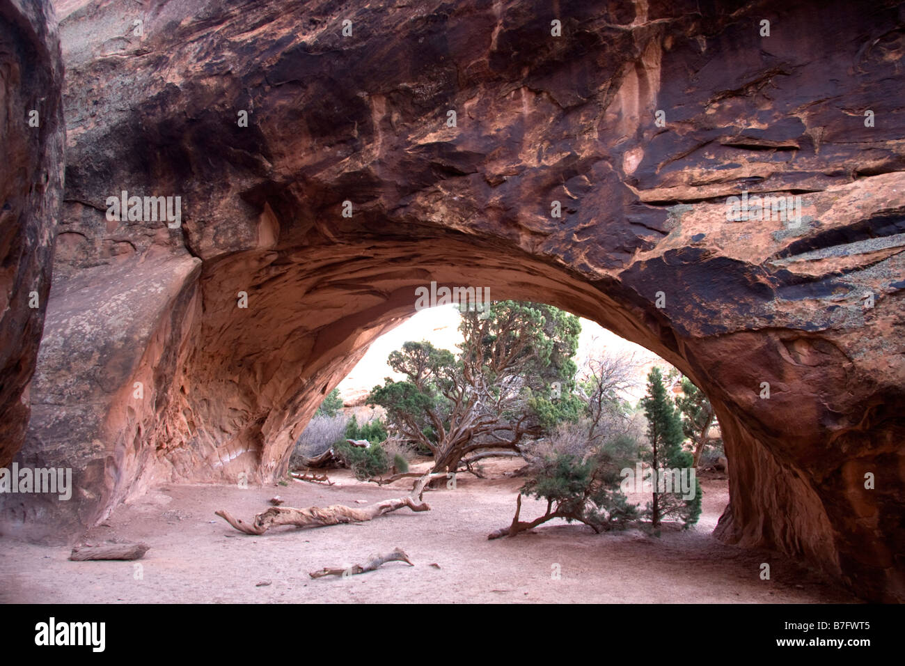 Navajo Arch along the Devils Garden Trail in Arches National Park Utah ...