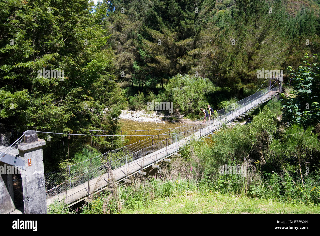Girls jumping off swing bridge over Inangahua River, Reefton, West ...