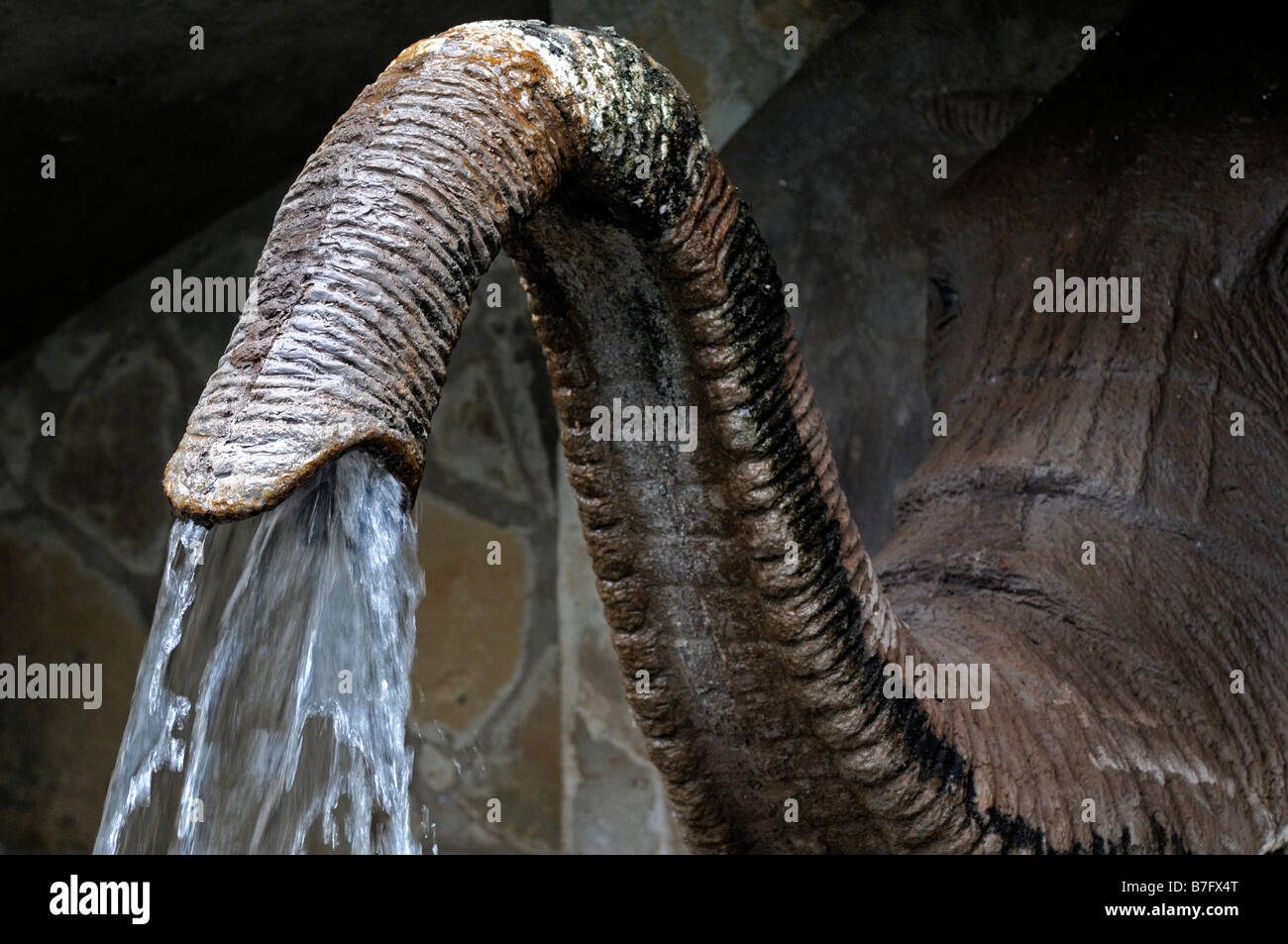 elephant trunk fountain water spout unusual different water artificial ...