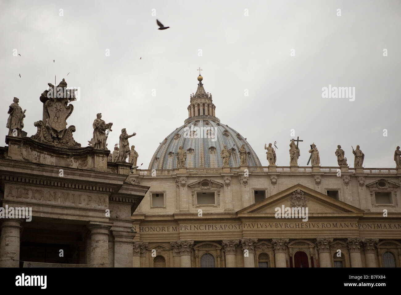 Dome of Saint Peter's Basilica in Rome Italy with bird in sky Stock ...