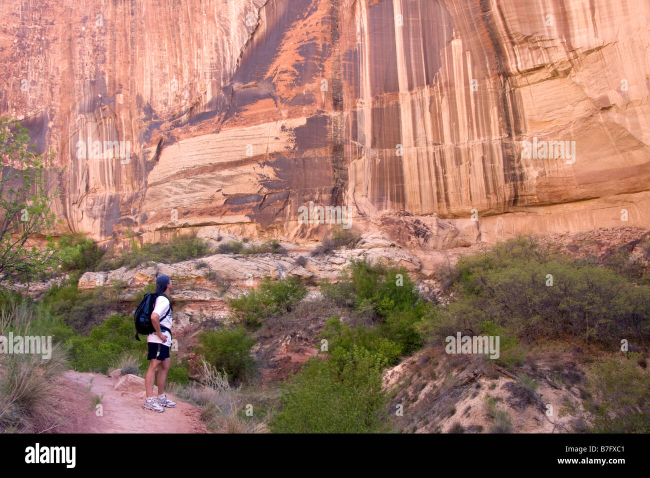 Massive canyon hi-res stock photography and images - Alamy