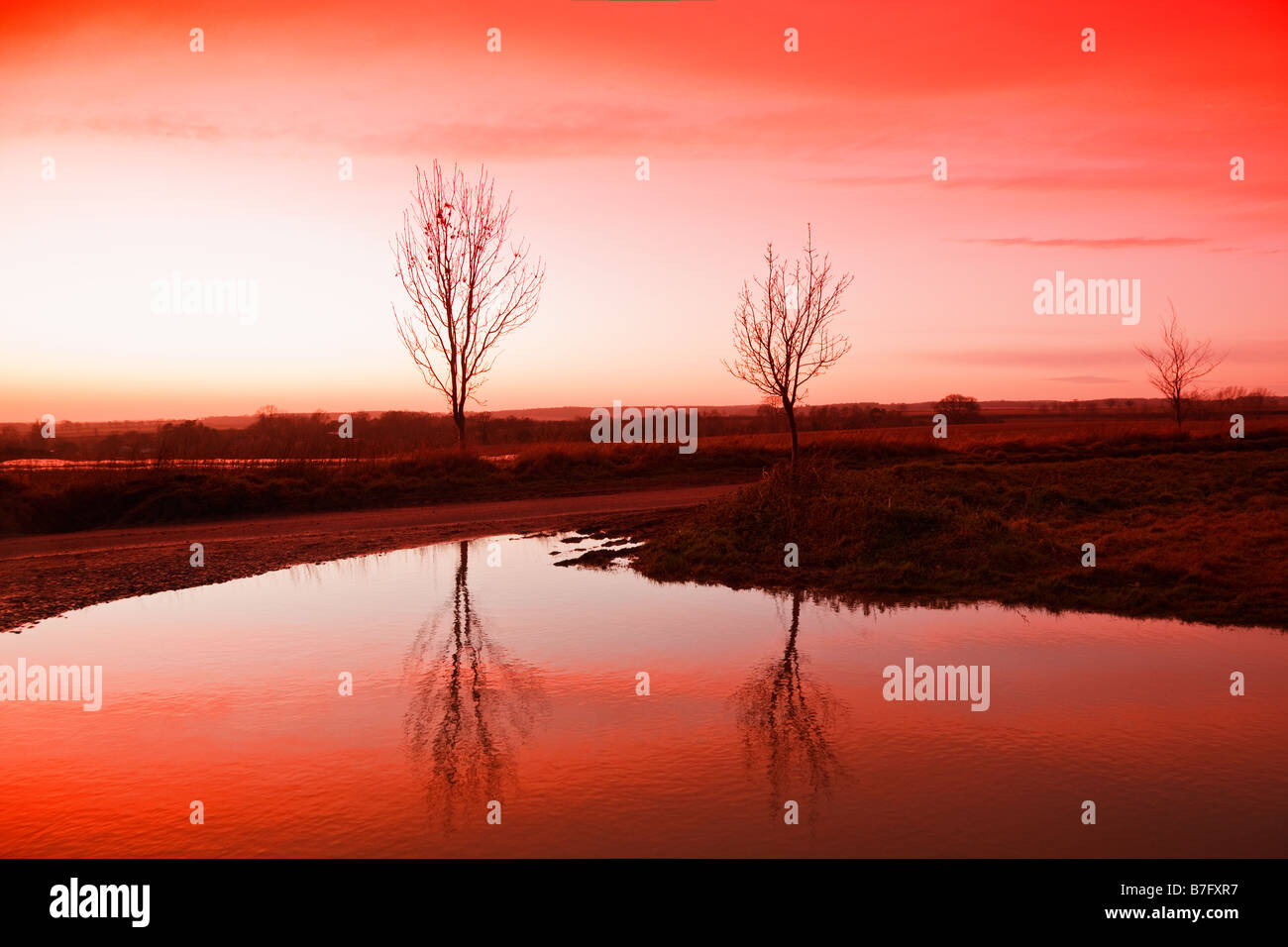 Winter Sunset over Norfolk Landscape,East Anglia, Great Britain Stock ...