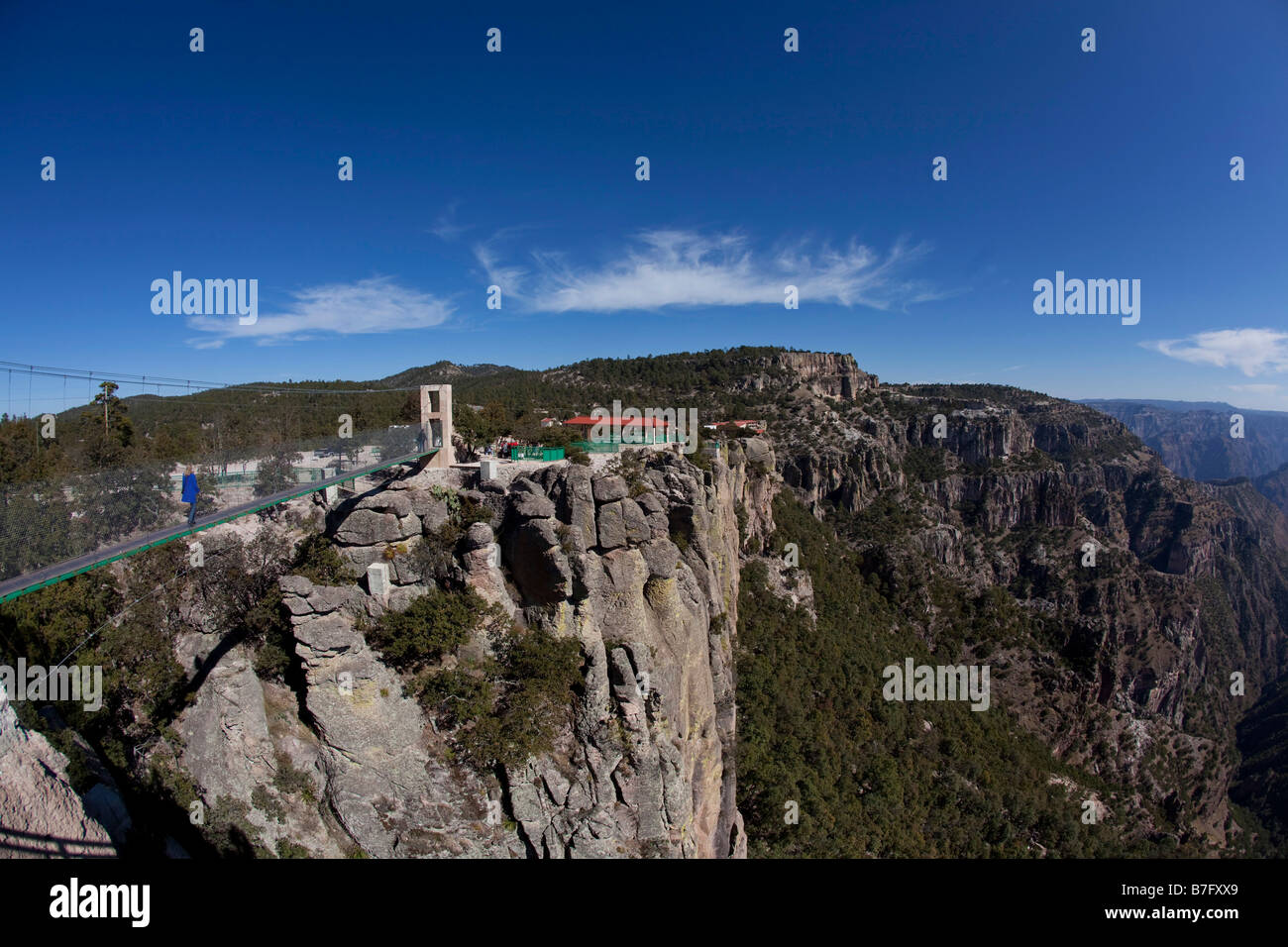 Swinging bridge Divisadero lookout Copper Canyon Chihuahua Mexico Stock ...