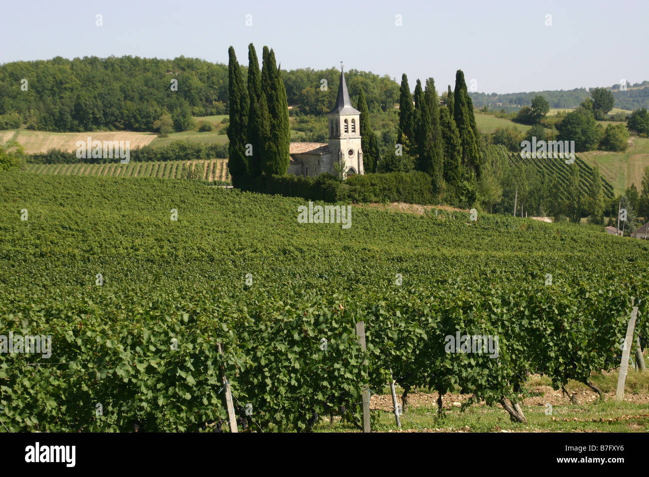 Vines church hi-res stock photography and images - Alamy