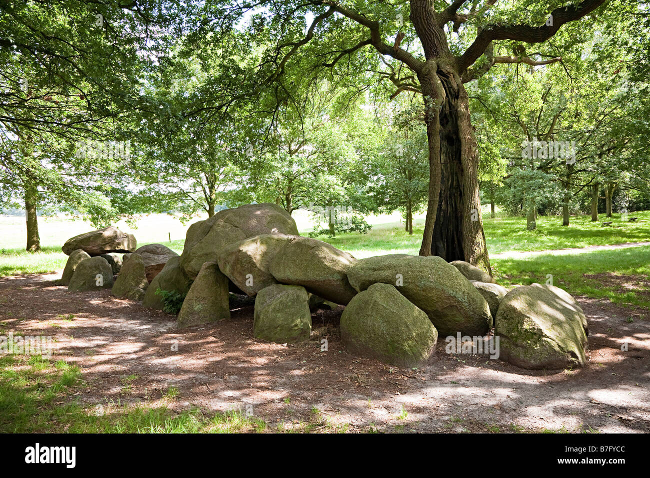 D17 hunebed dolmen Rolde Drenthe eastern Netherlands Stock Photo - Alamy