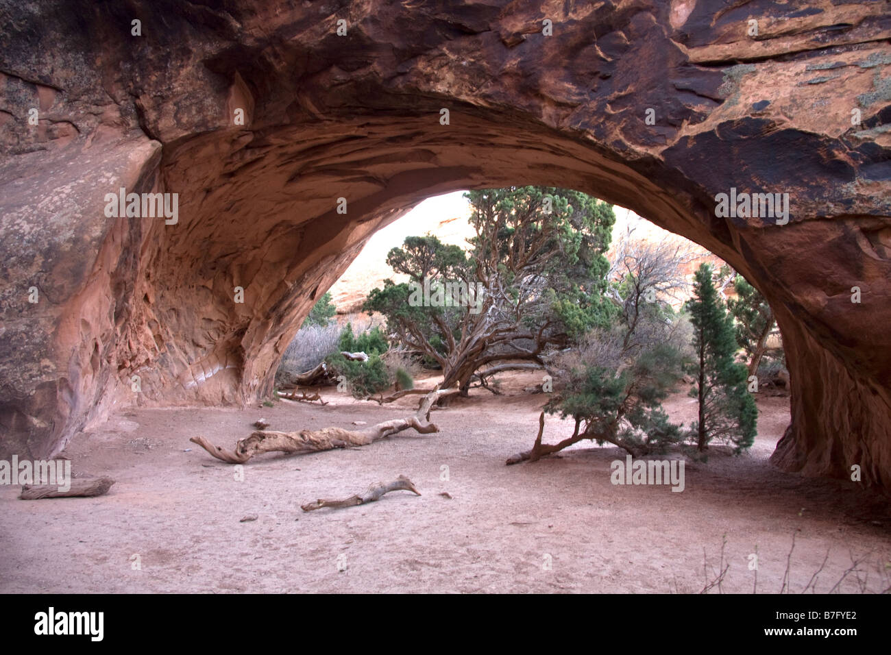 Navajo Arch along the Devils Garden Trail in Arches National Park Utah ...