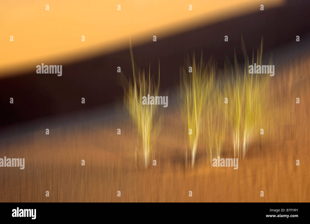 Sand desert dune abstract movement hi-res stock photography and images ...