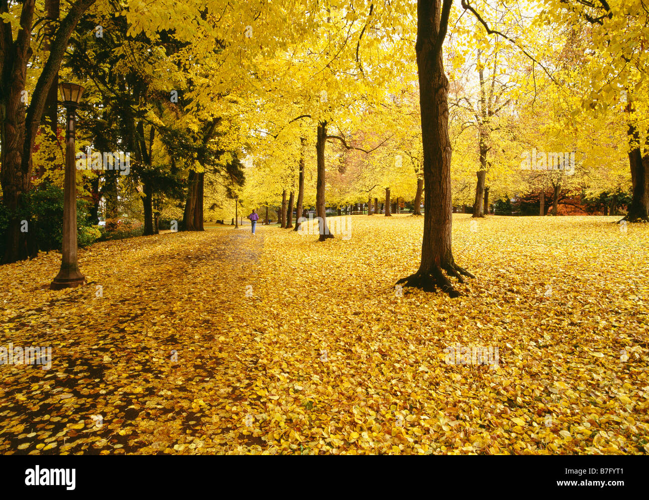 Laurelhurst hi-res stock photography and images - Alamy