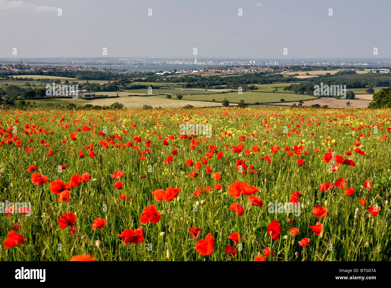 Isle of wight brading down hi-res stock photography and images - Alamy