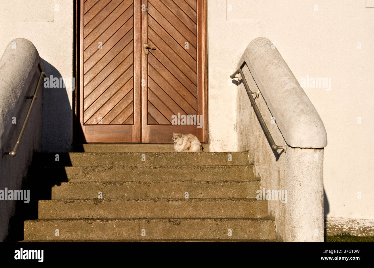 Cat sitting at the top of church steps in Scotland Stock Photo - Alamy