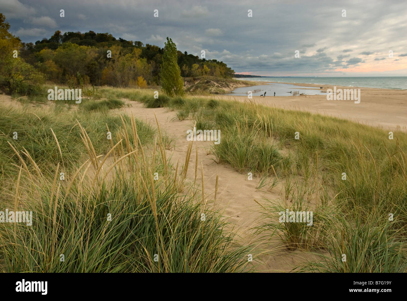 Warren Dunes State Park in Michigan, USA Stock Photo - Alamy