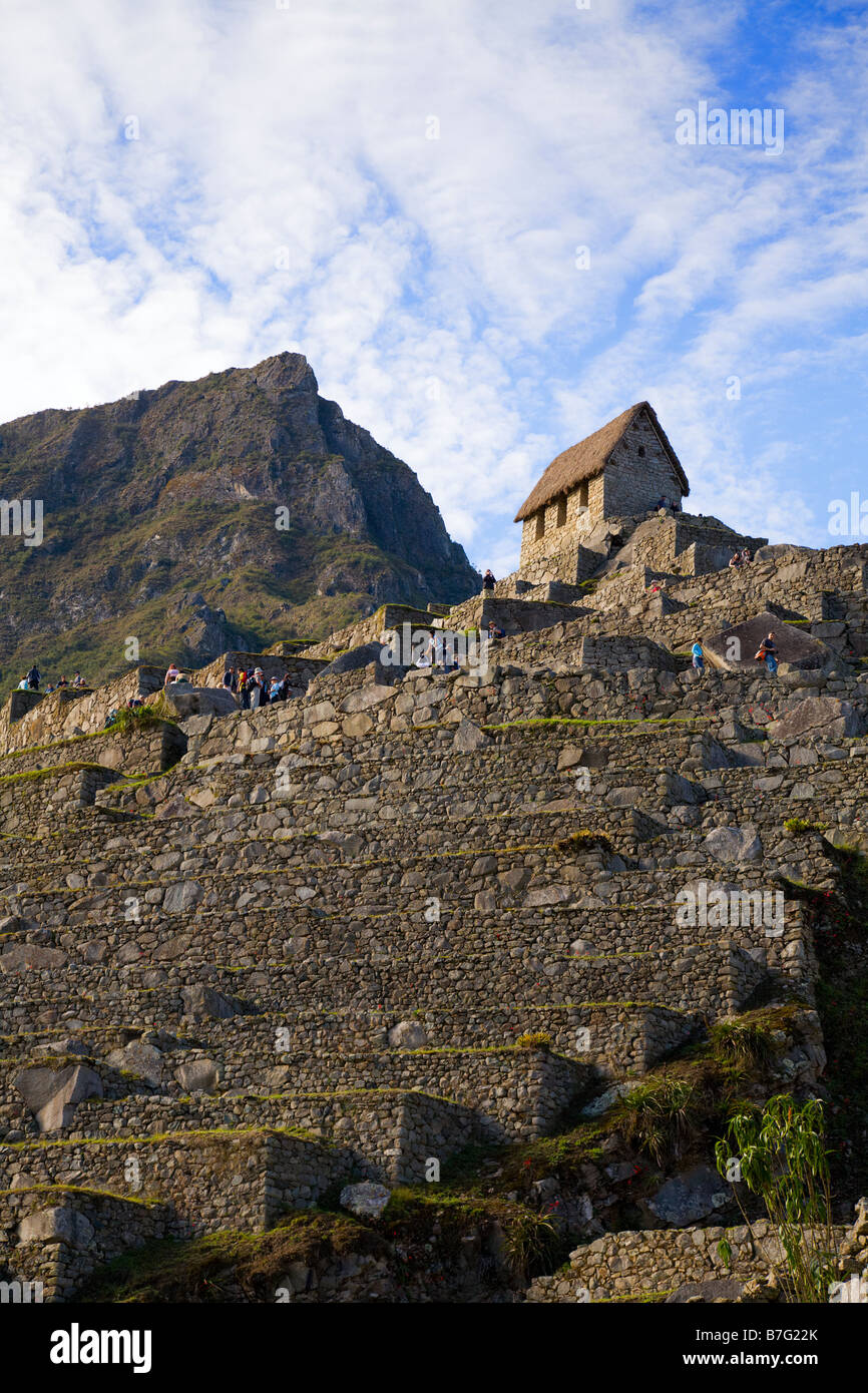 Terraces at Machu Picchu Stock Photo - Alamy