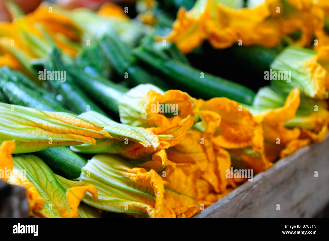 Courgettes and courgette flowers hi-res stock photography and images ...