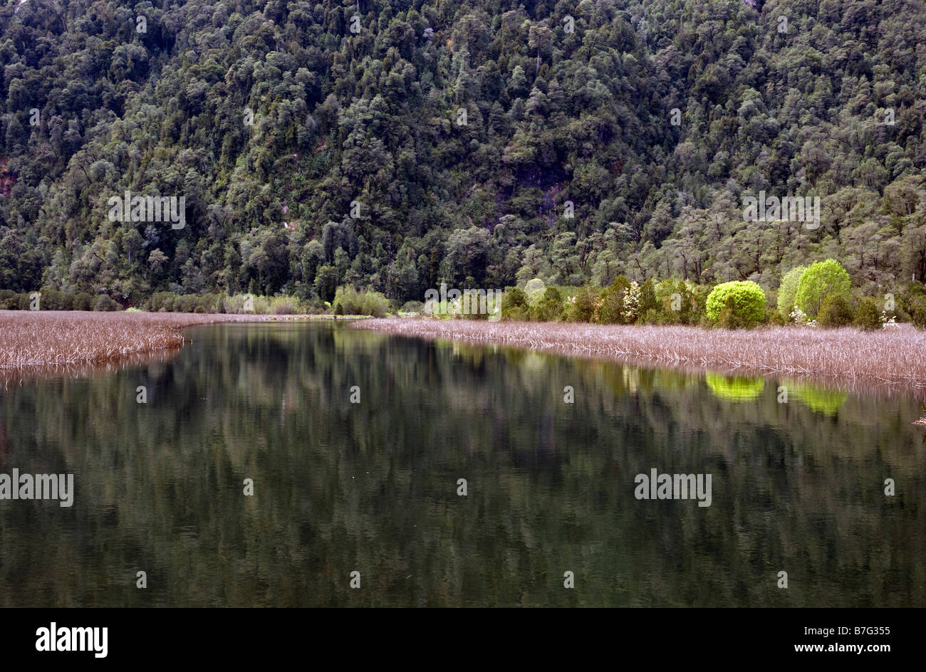 The Rio Negro, Peulla Stock Photo - Alamy
