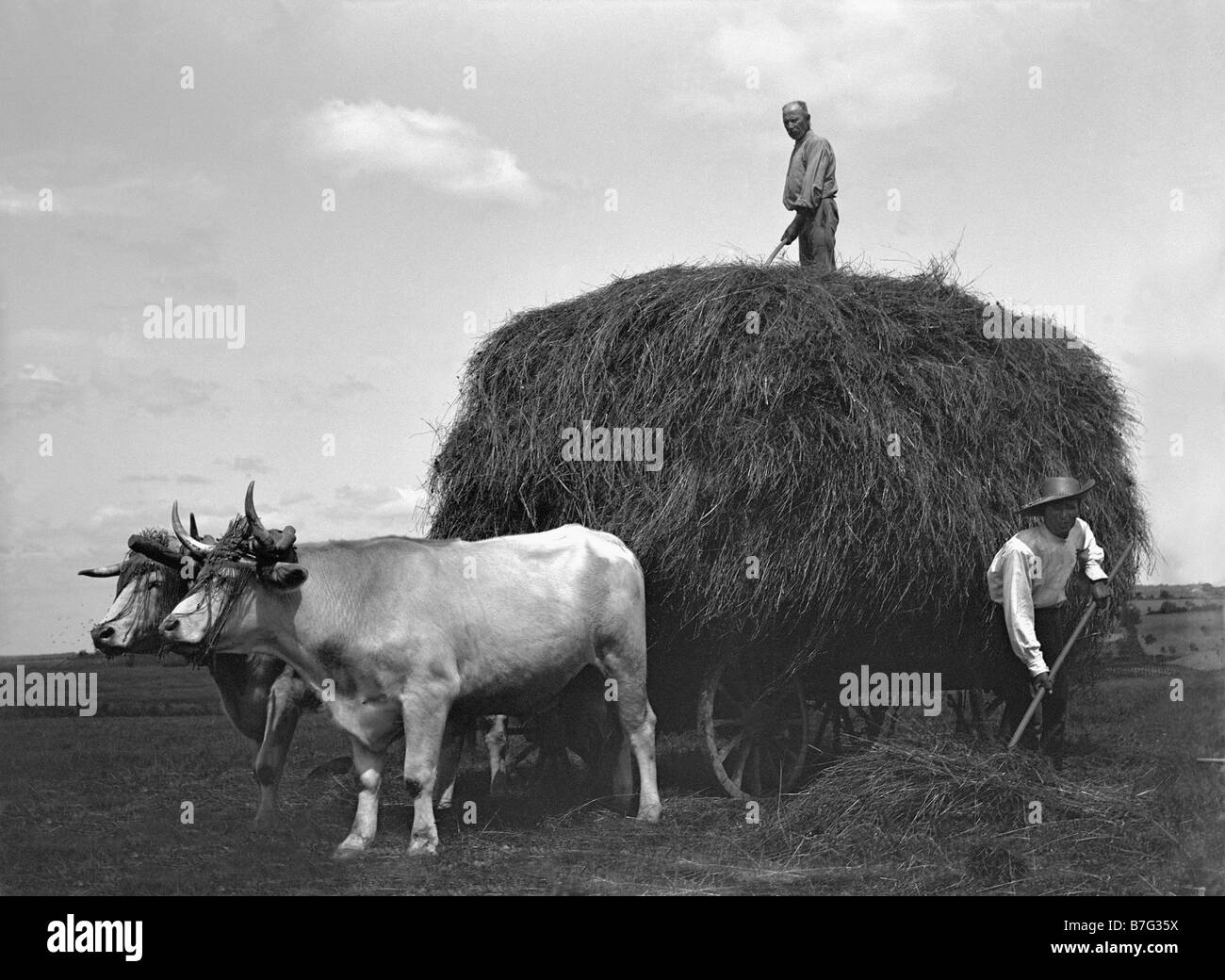 Foins hi-res stock photography and images - Alamy