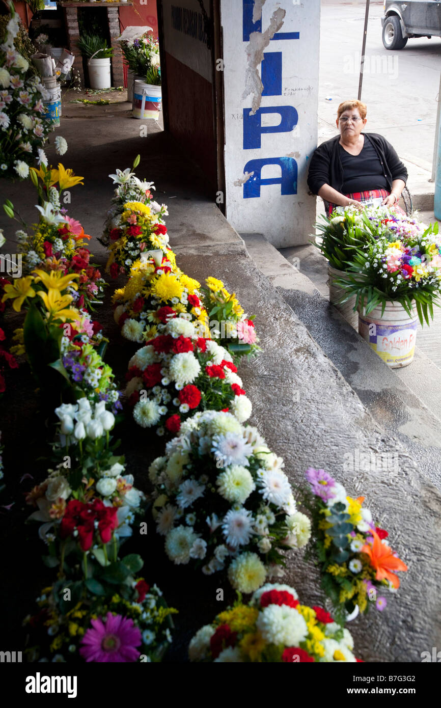 Mexico flower hi-res stock photography and images - Alamy