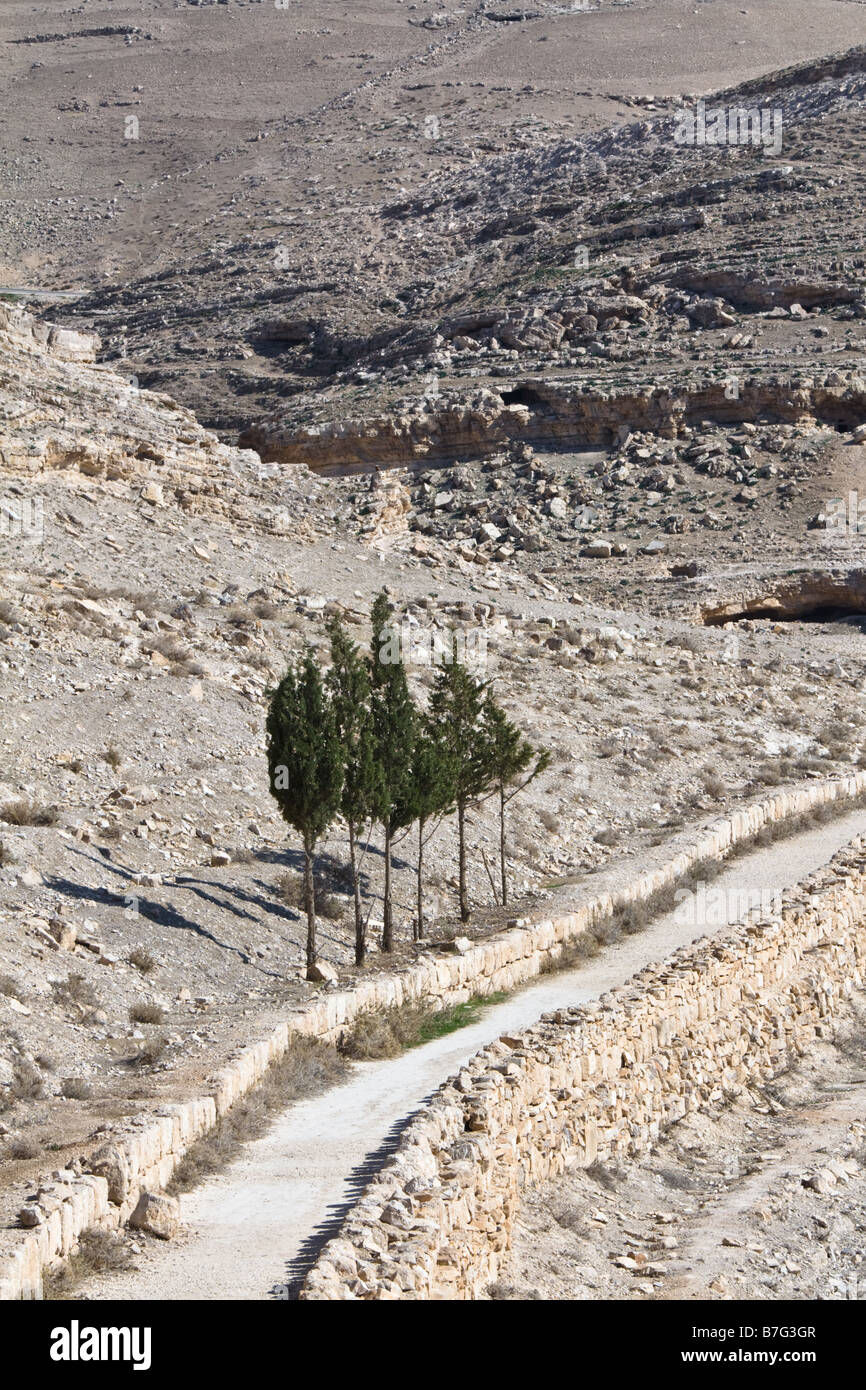 Machaerus Mukawir hill detail Path to the top Jordan Place of execution ...