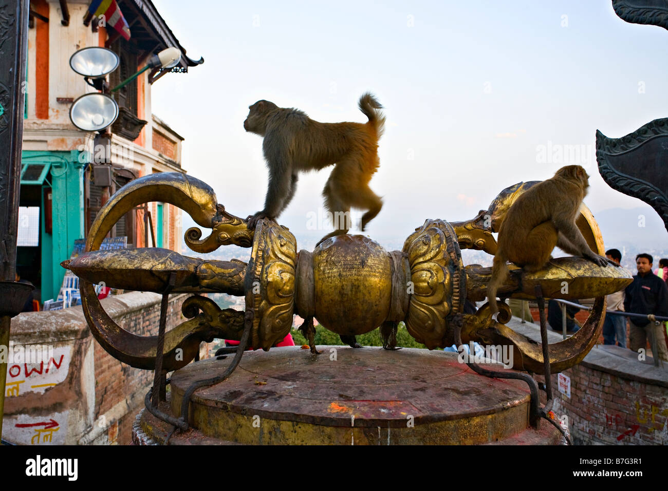 Vajra hi-res stock photography and images - Alamy