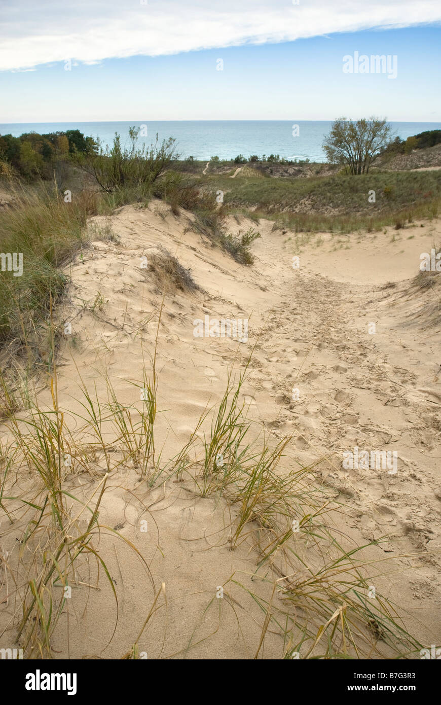 Warren Dunes State Park in Michigan, USA Stock Photo - Alamy