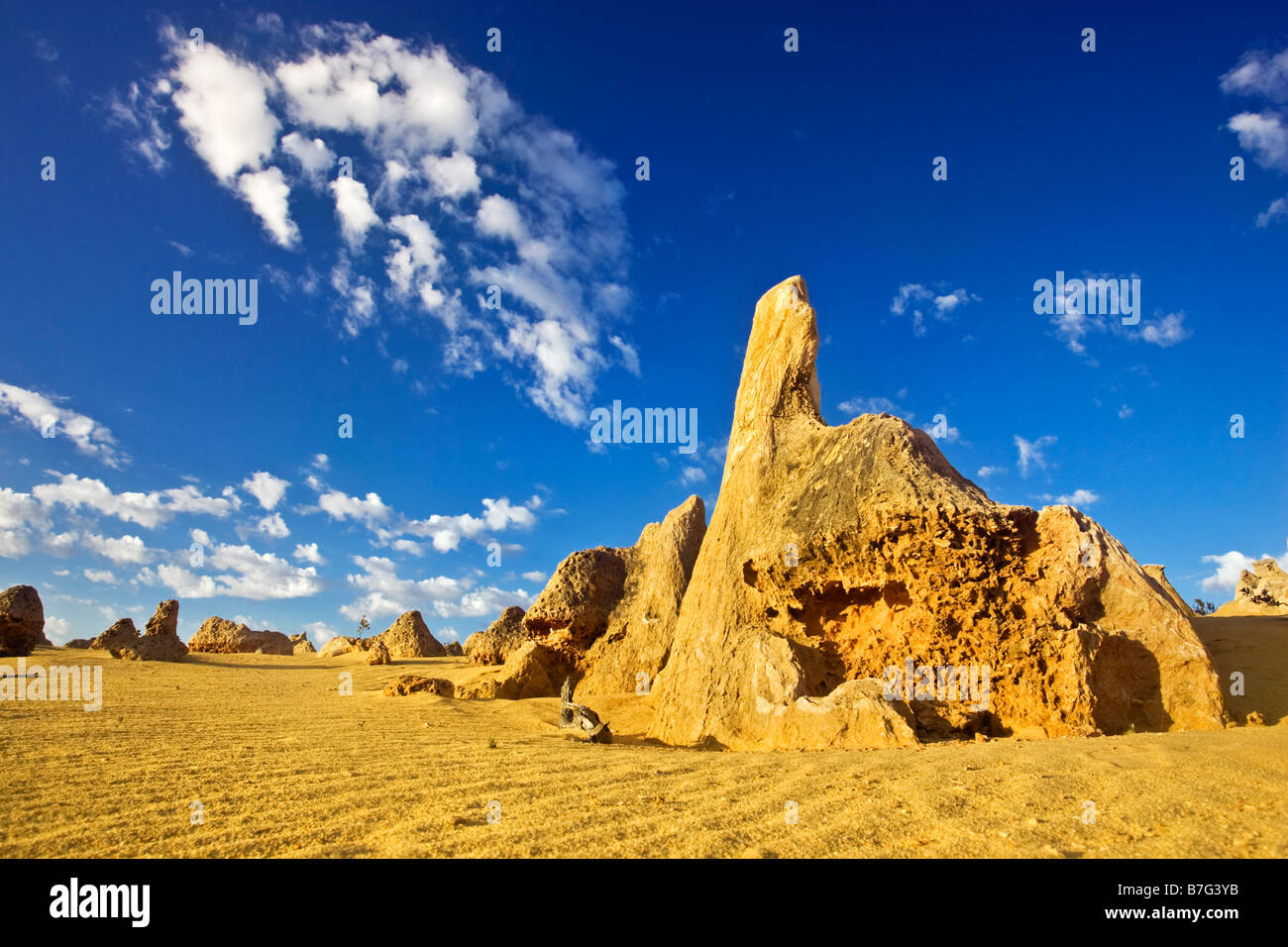 Tamala Limestone rock formations in Pinnacles Desert in Nambung ...