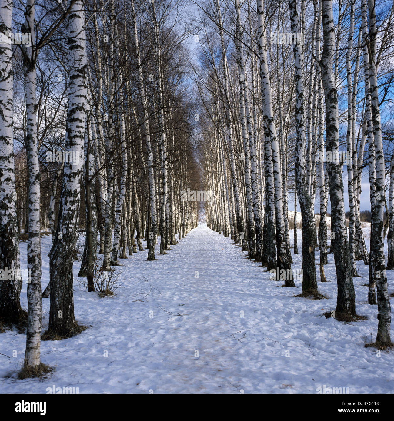 March landscapes blue sky sun hi-res stock photography and images - Alamy