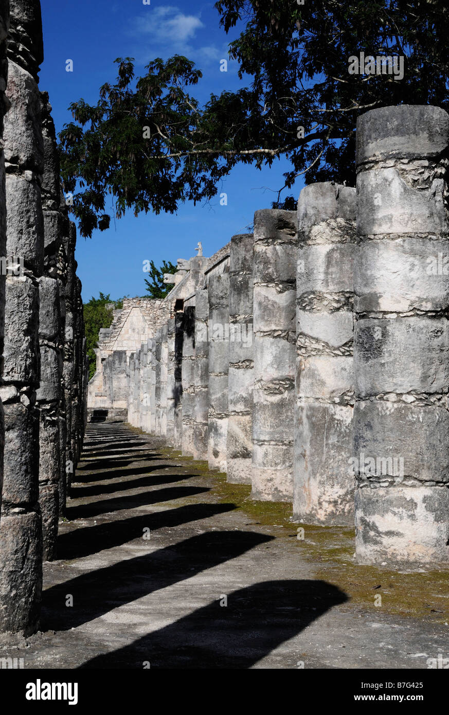 Colonnade Group Logo