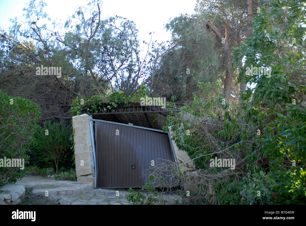 Pine tree on garage hi-res stock photography and images - Alamy