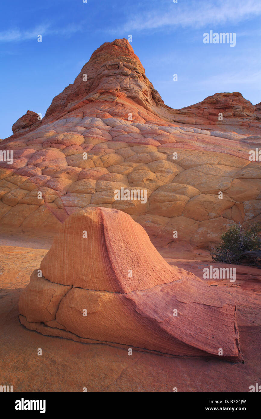 Rock "snail" at Vermilion Cliffs National Monument, Arizona Stock Photo ...