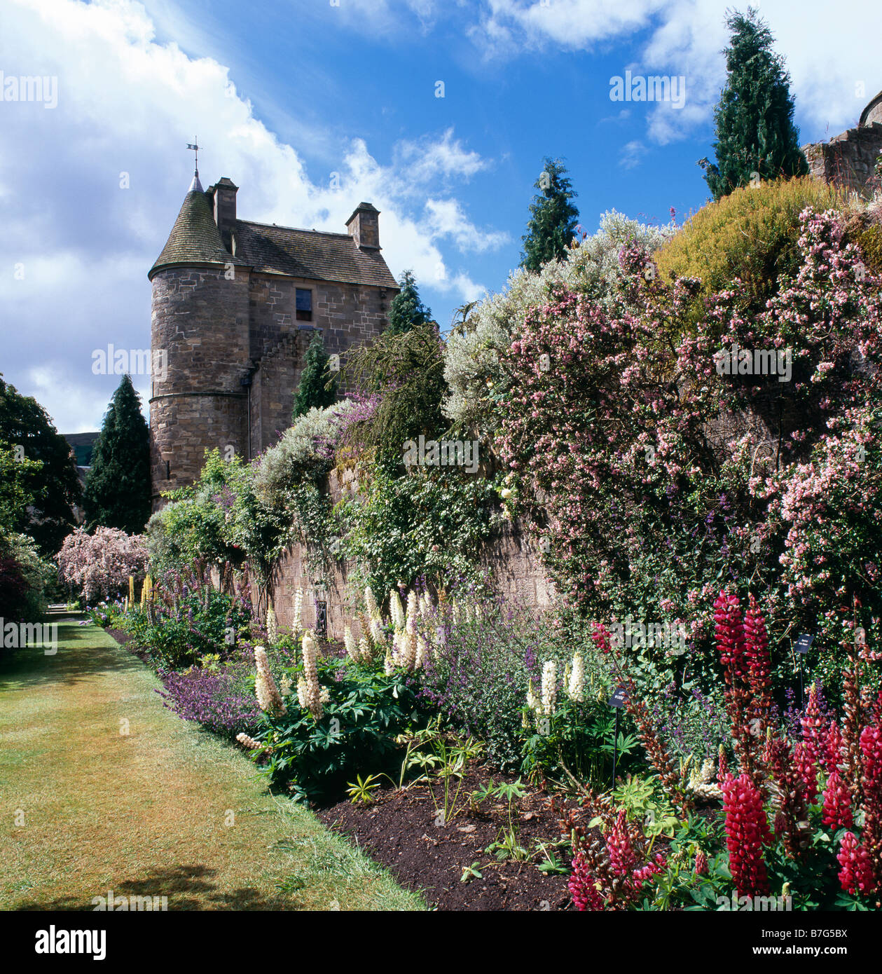 Falkland palace and garden hi-res stock photography and images - Alamy