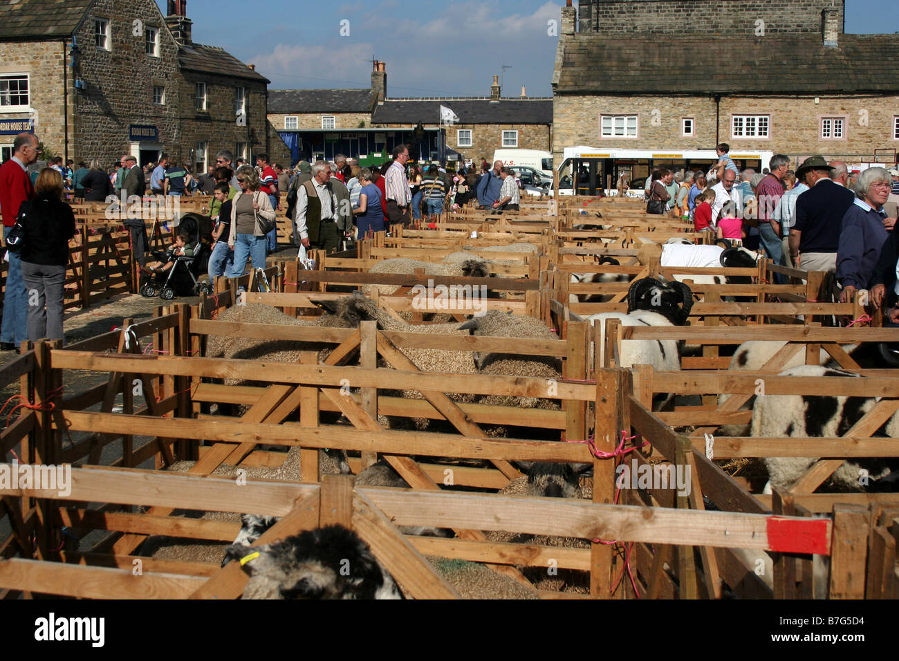 Masham Sheep Fair, Masham, Ripon, North Yorkshire Stock Photo - Alamy
