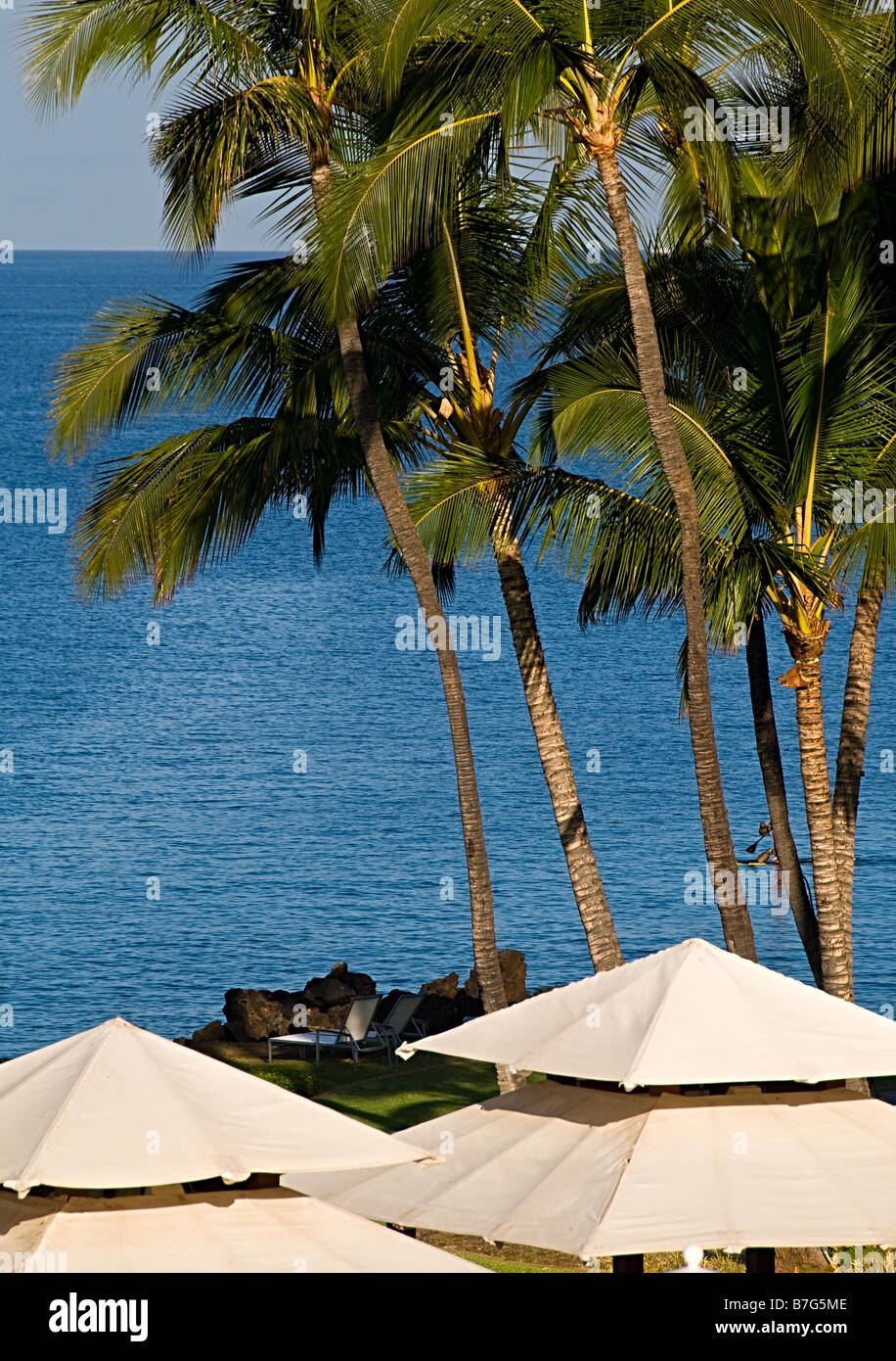 cabana roofs with tall green palm trees and blue water of pacific ocean ...
