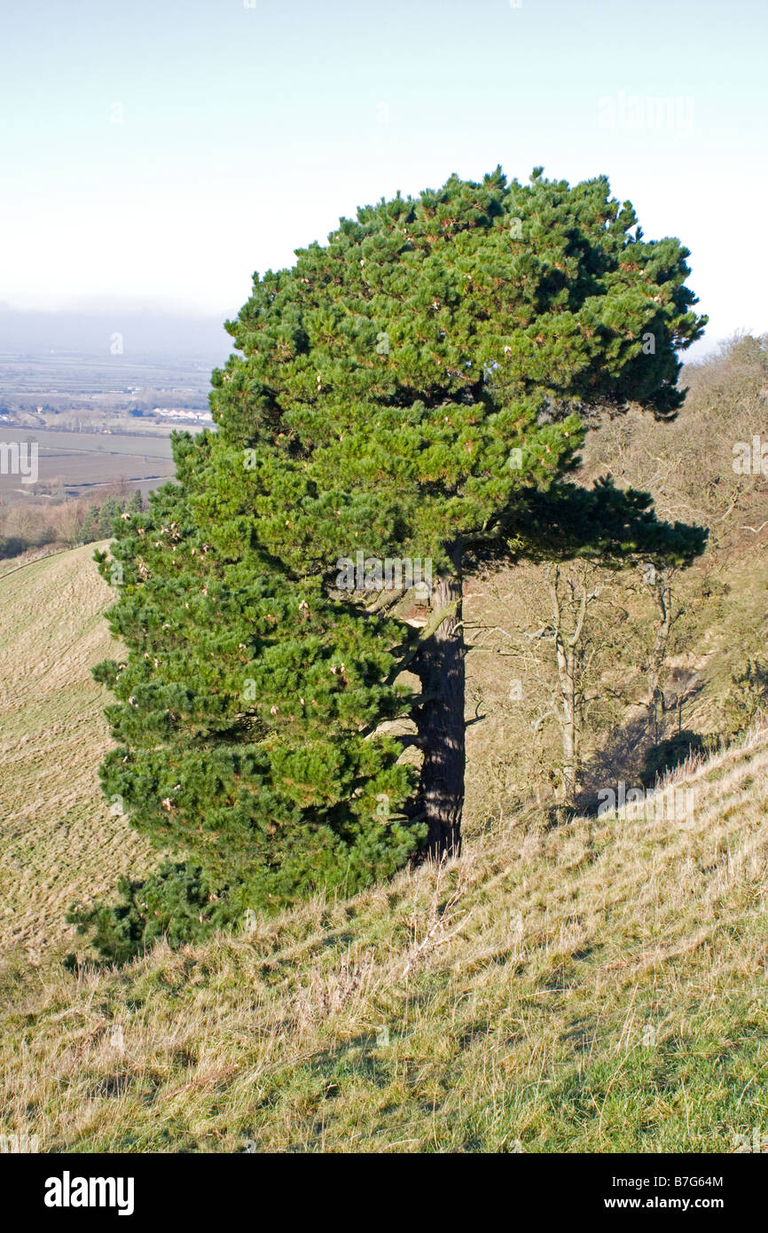 Meon hill hi-res stock photography and images - Alamy