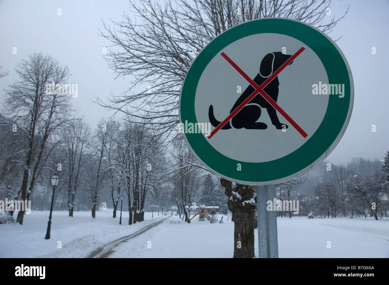No dog sign in park Stock Photo - Alamy