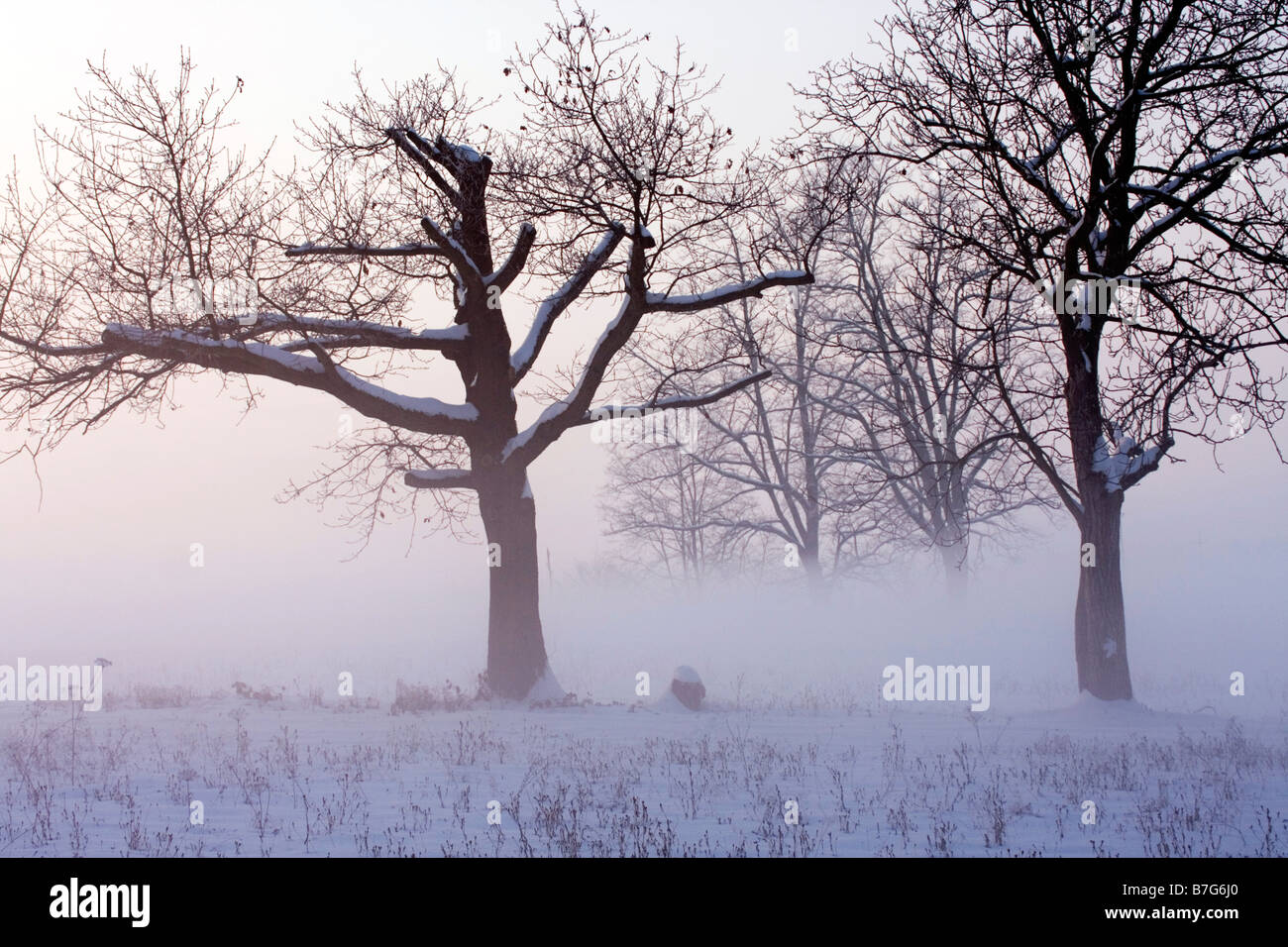 Cold winter evening with fog and weak sun Stock Photo - Alamy