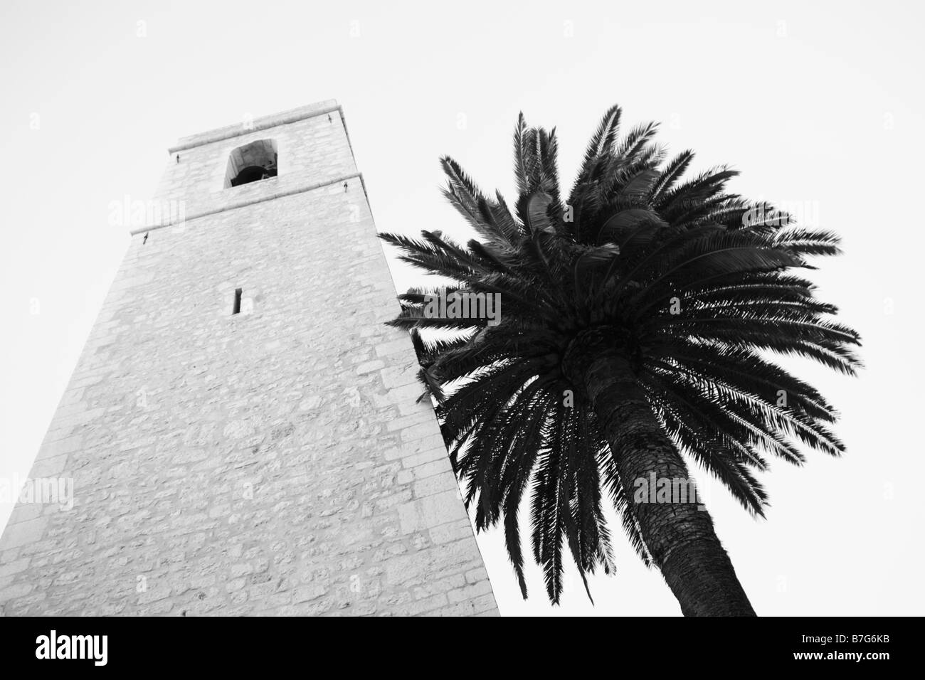 Bell tower with palm tree Stock Photo - Alamy