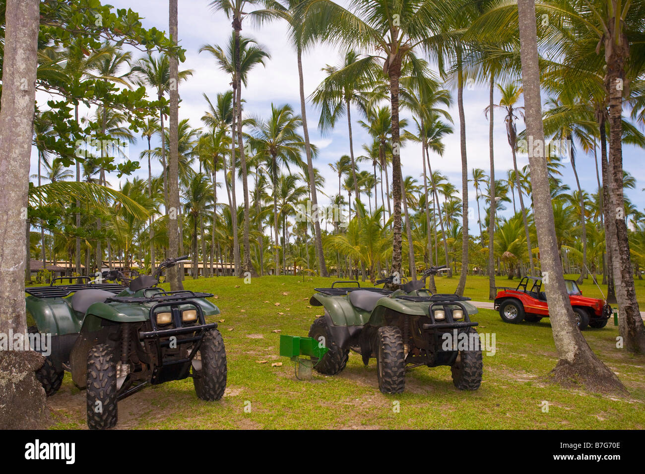 Golf carts palm tree hi-res stock photography and images - Alamy