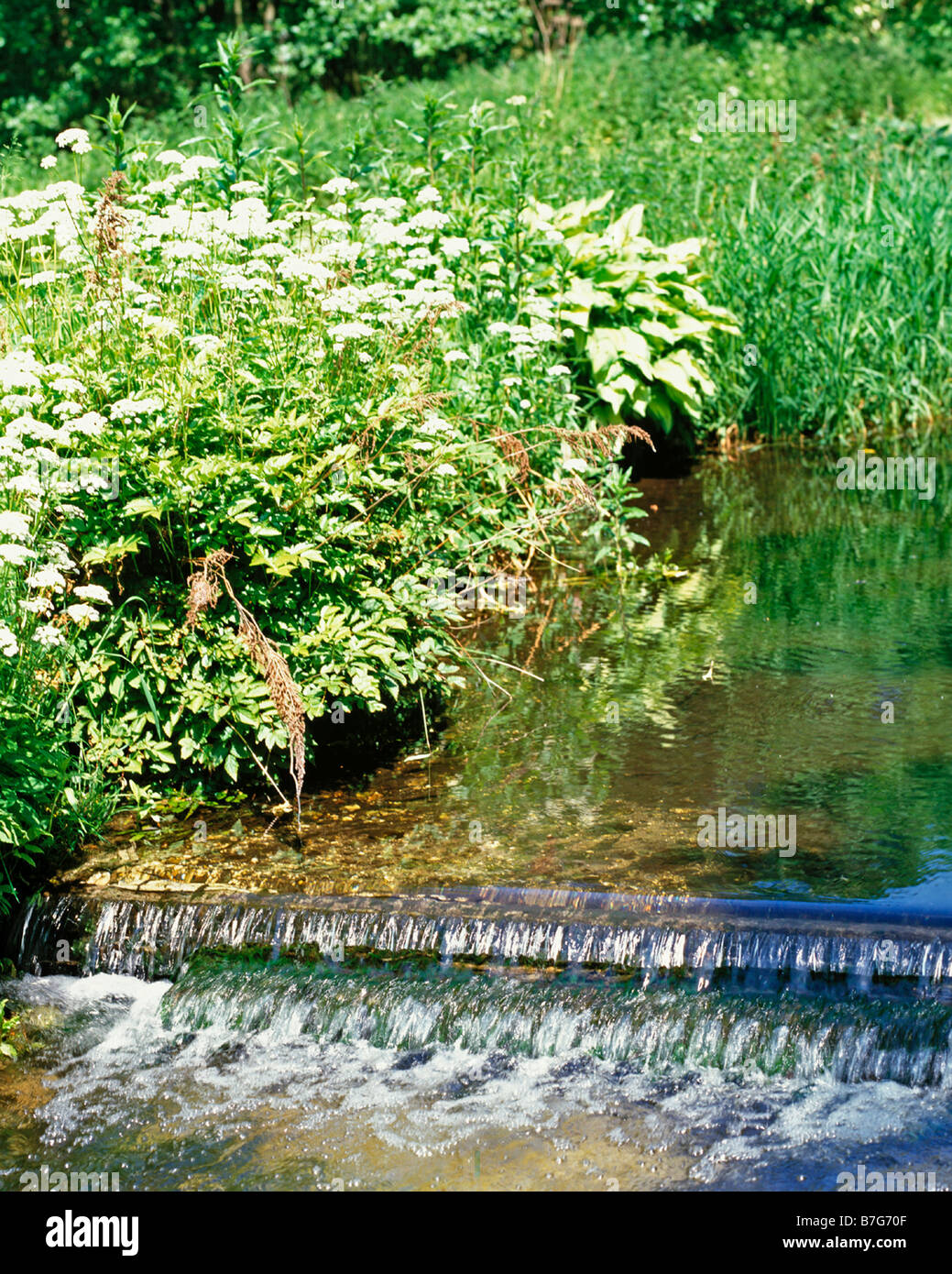 SMALL WEIR ACROSS STREAM TO RAISE WATER LEVEL Stock Photo - Alamy