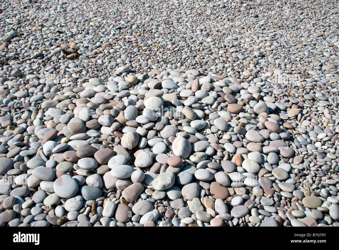 Pebbles on beach, Devon UK Stock Photo - Alamy
