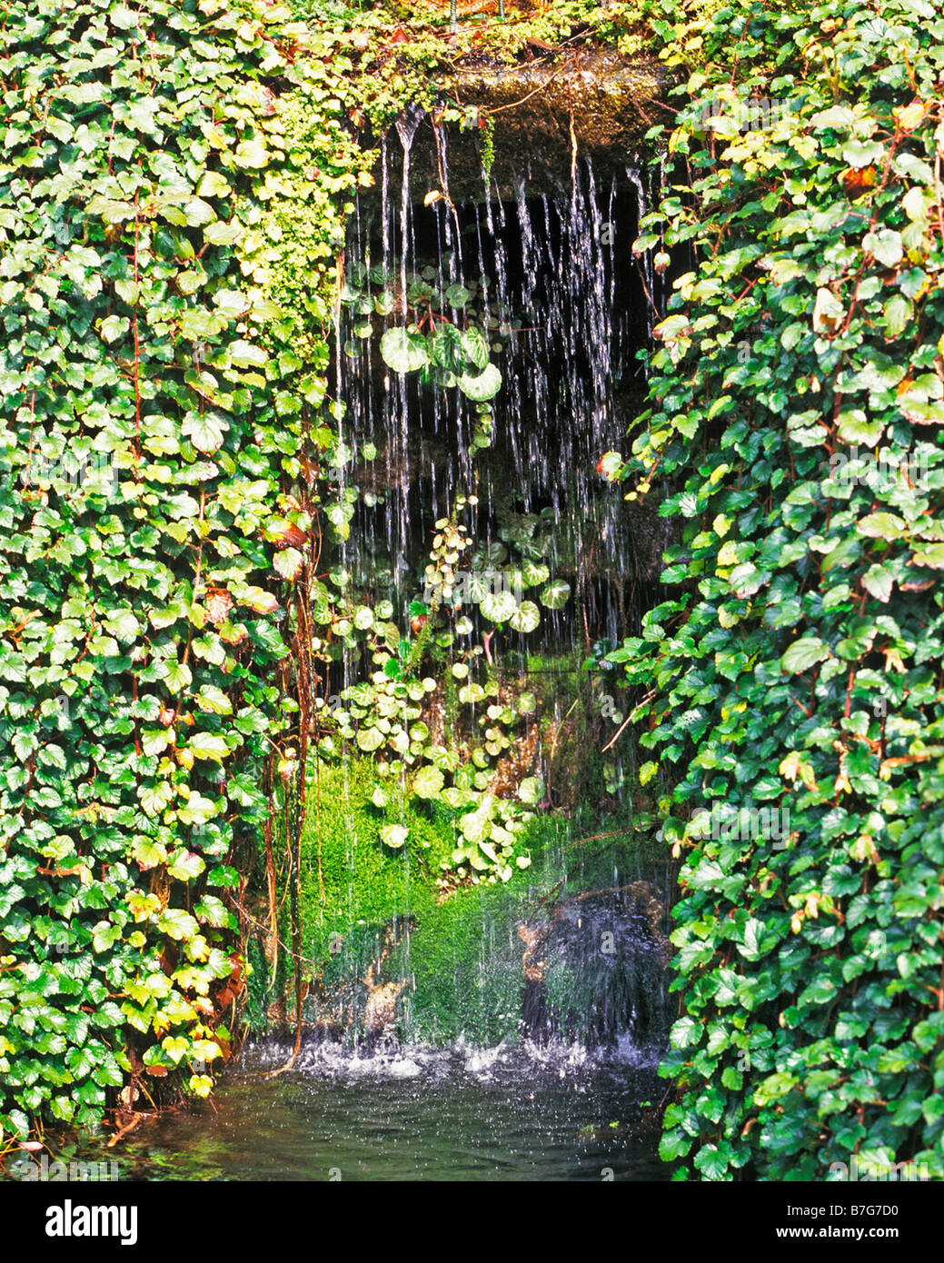 WATERFALL WITH IVY ON EACH SIDE Stock Photo - Alamy