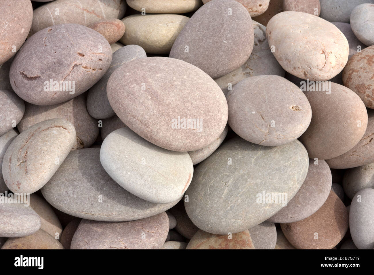 Rounded Soft looking Pebbles on the Beach at Budleigh Salterton Devon ...