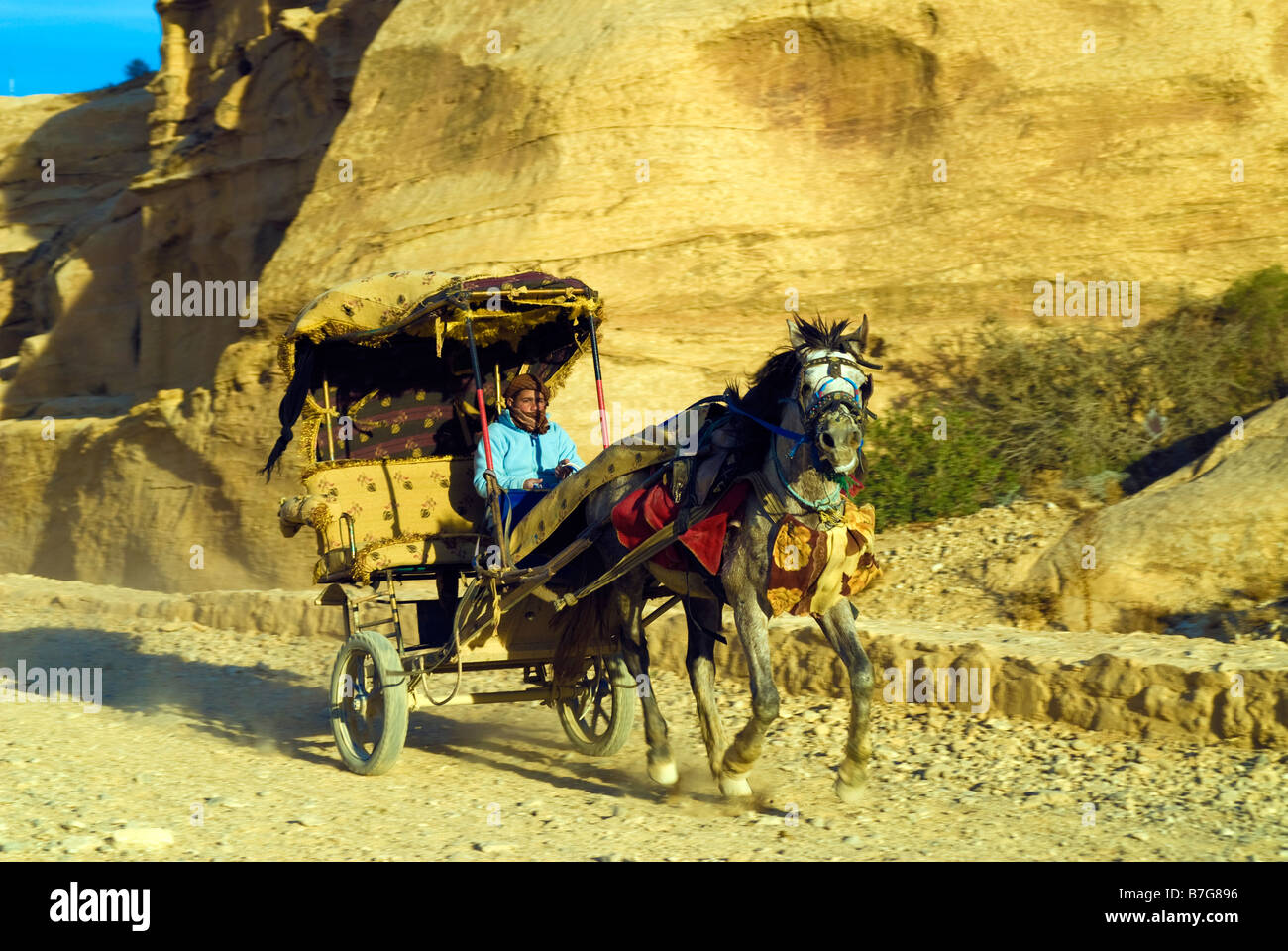 Riding horse buggy hi-res stock photography and images - Alamy