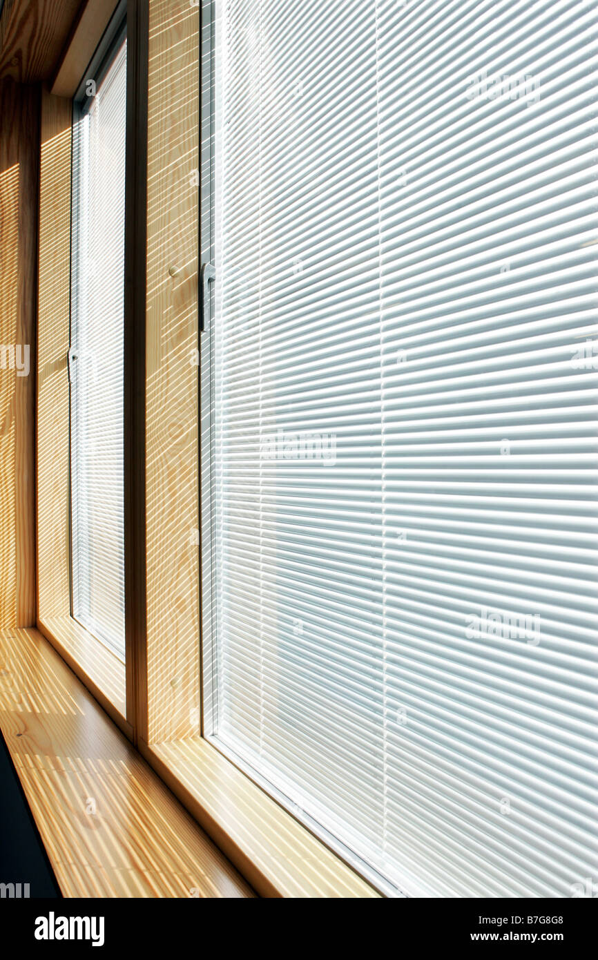 Energy efficient timber windows with Integral blinds Stock Photo - Alamy
