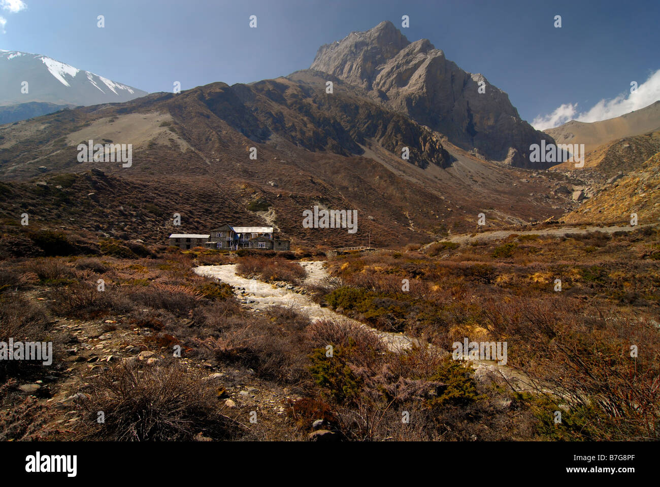 Tilicho Lake base camp. Annapurna Circuit. nepal Stock Photo - Alamy