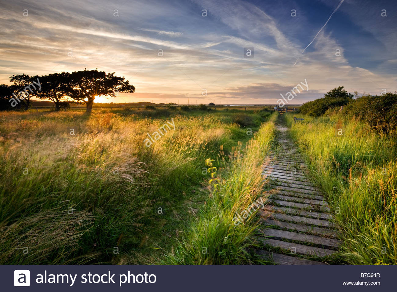 Uk England Isle Wight Newtown Stock Photos & Uk England Isle Wight ...