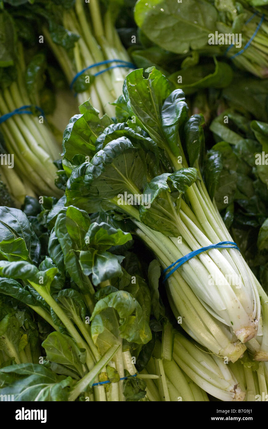 Produce at the Kerrytown Market and Shops in Ann Arbor, Michigan, USA ...