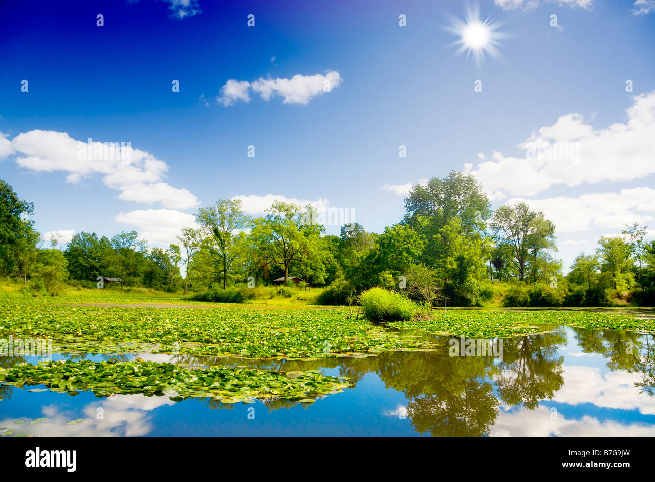 Summer shelters hi-res stock photography and images - Alamy